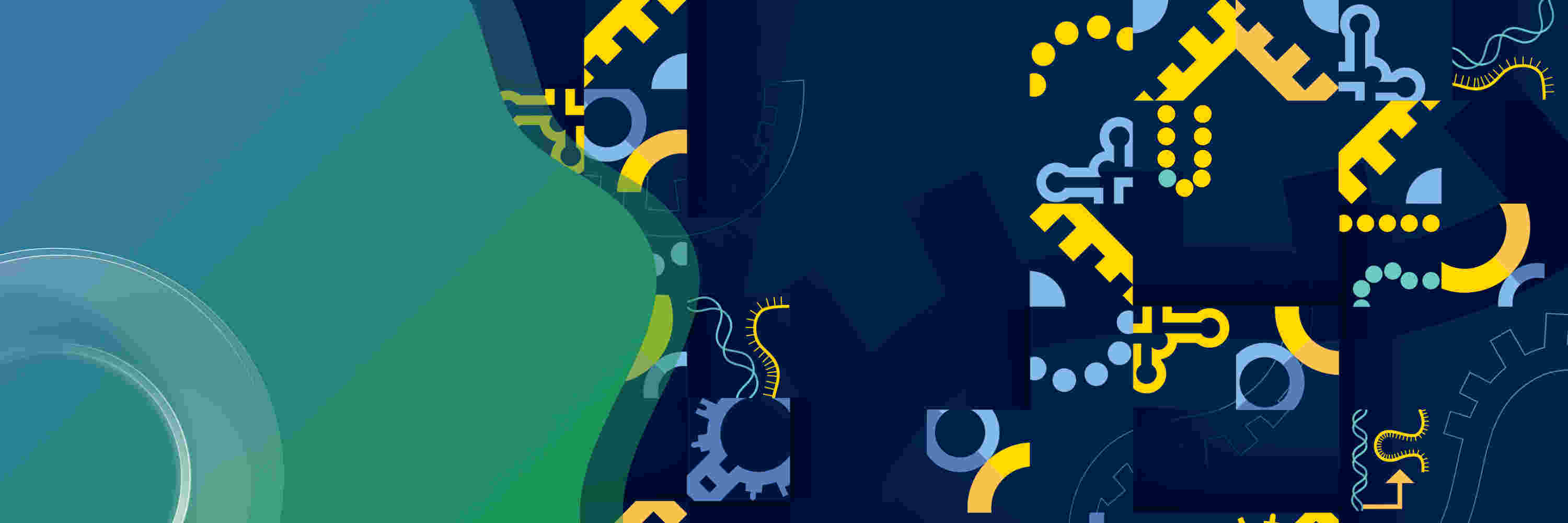 The Non coding Genome